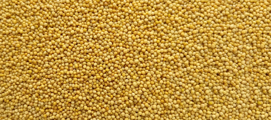 Ramdana Exporter India | KBH Trade